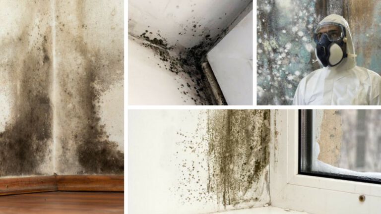 Come eliminare la muffa sui muri (anche se hai già fallito)